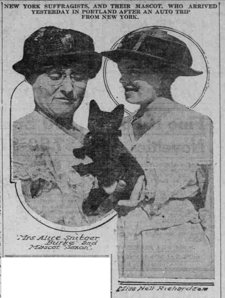 Cats and Women’s Right to Vote - Cat Explore