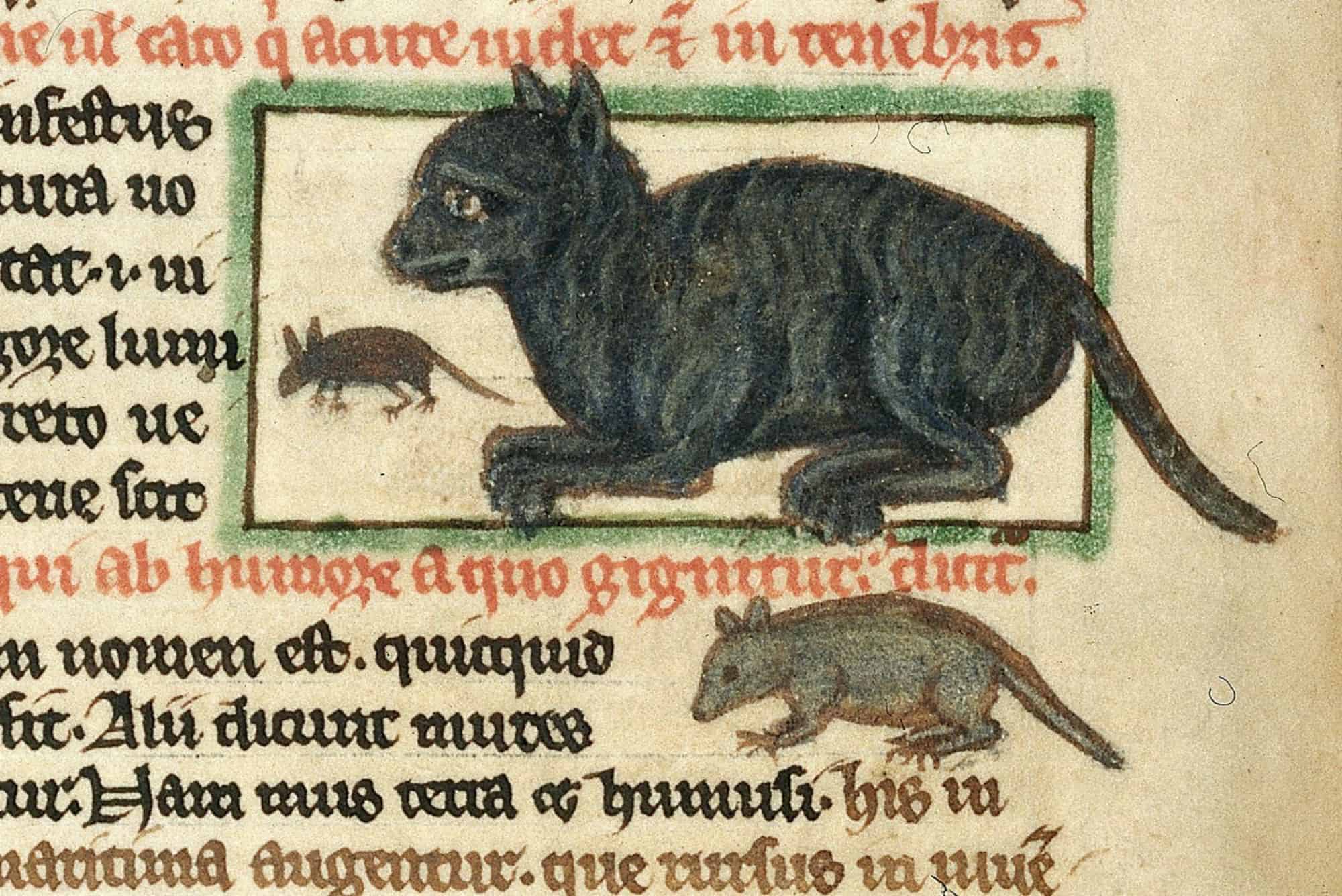 Role of Cats in Medieval Manuscripts - Cat Explore