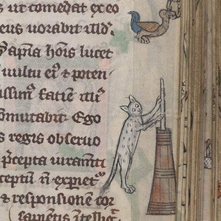 Role of Cats in Medieval Manuscripts - Cat Explore