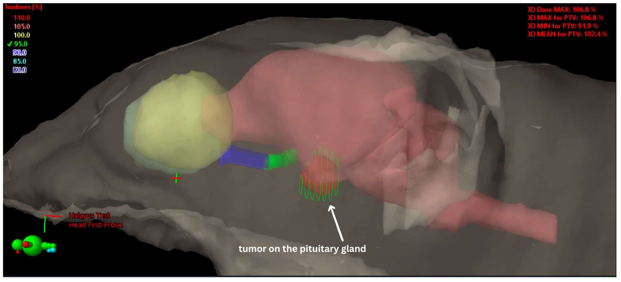 My Cat's Experience With Feline Acromegaly - Cat Explore